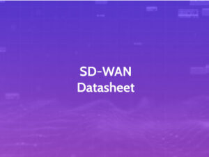 SD-WAN Datasheet | Epsilon Telecommunications